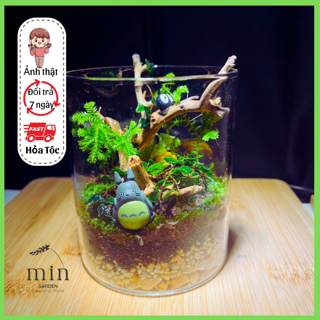 Terrarium Mini Thủy Tinh - Min Garden (thiết kế theo yêu cầu + tặng túi ...