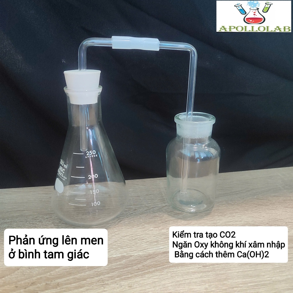 (Iwaki Nhật) Bộ bình tam giác 250ml kiểm tra phản ứng lên men thí nghiệm | Shopee Việt Nam
