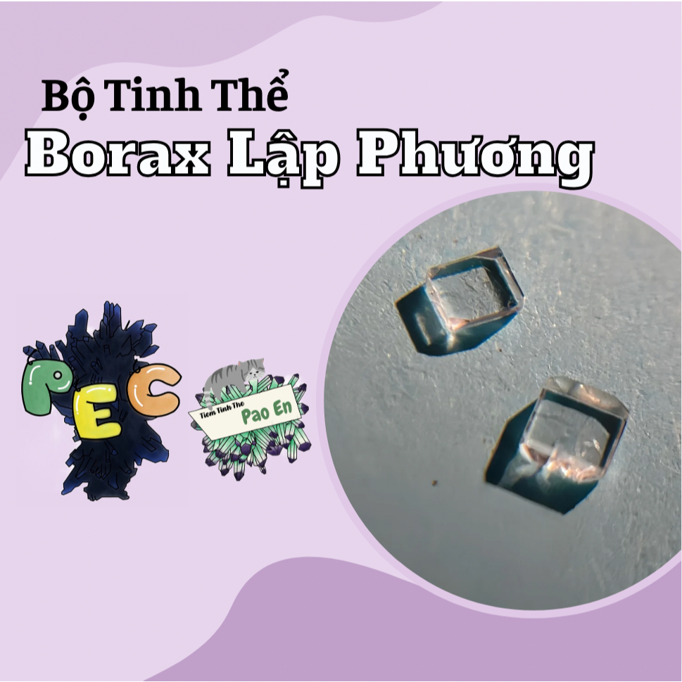 [ BORAX LẬP PHƯƠNG ] Combo nuôi tinh thể trong suốt ( Có giấy hướng dẫn ...