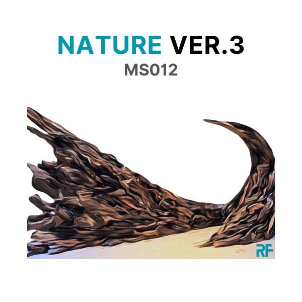 Layout Nature ver.3 dùng setup bể thuỷ sinh kích thước 30x20x20cm ...