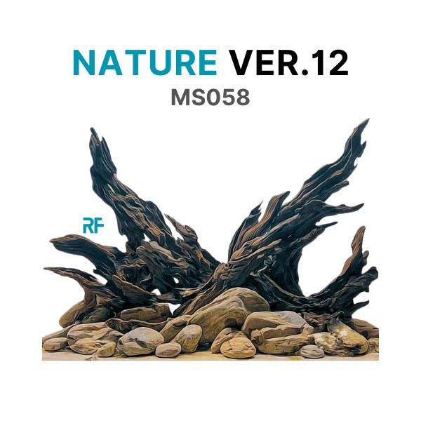 Layout Nature ver.12 phong cách biotop phù hợp dùng setup bể cá kích ...