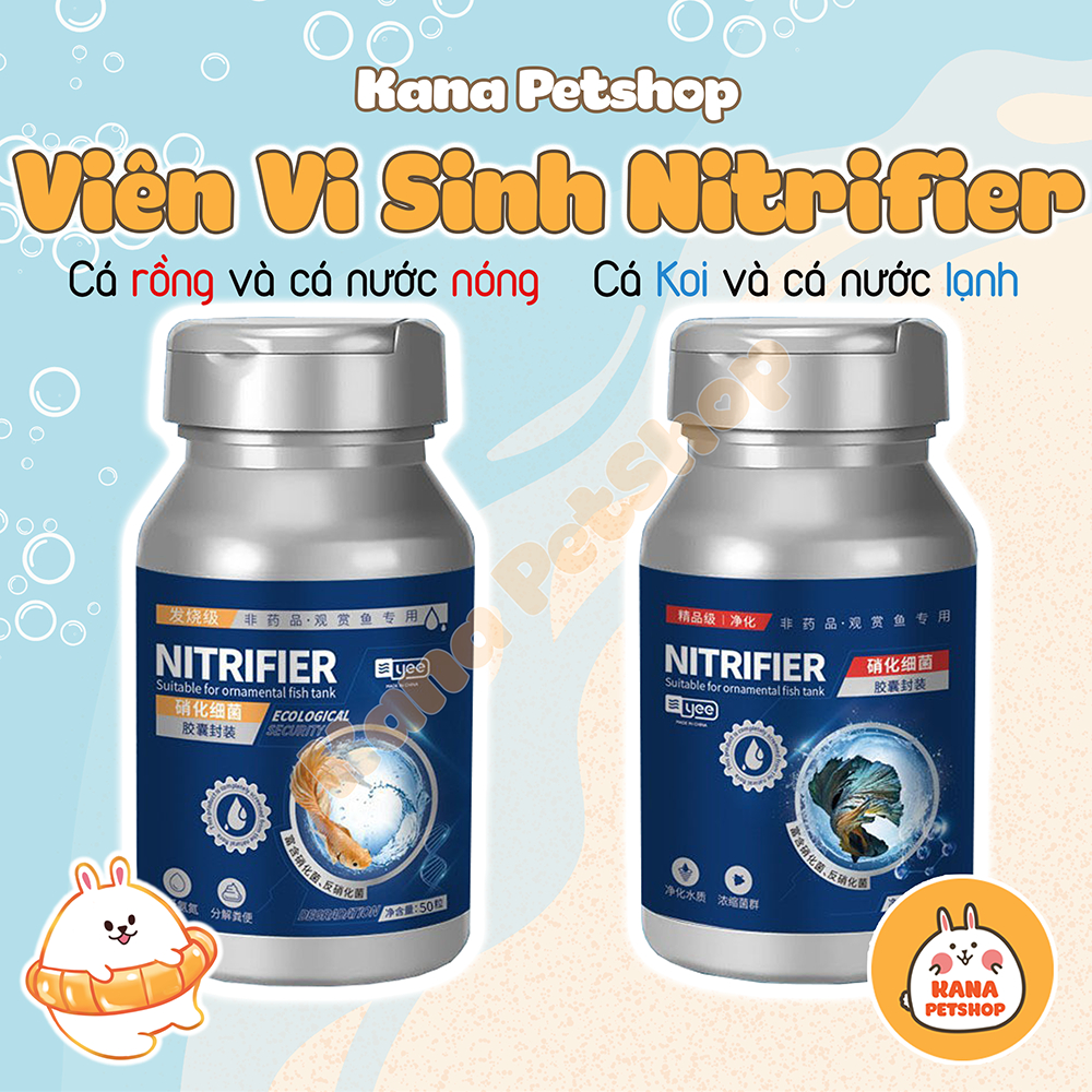 Viên Vi Sinh Hồ Cá YEE Nitrifier 🐟 FREESHIP 🐟 Làm Trong Nước Hiệu Quả ...