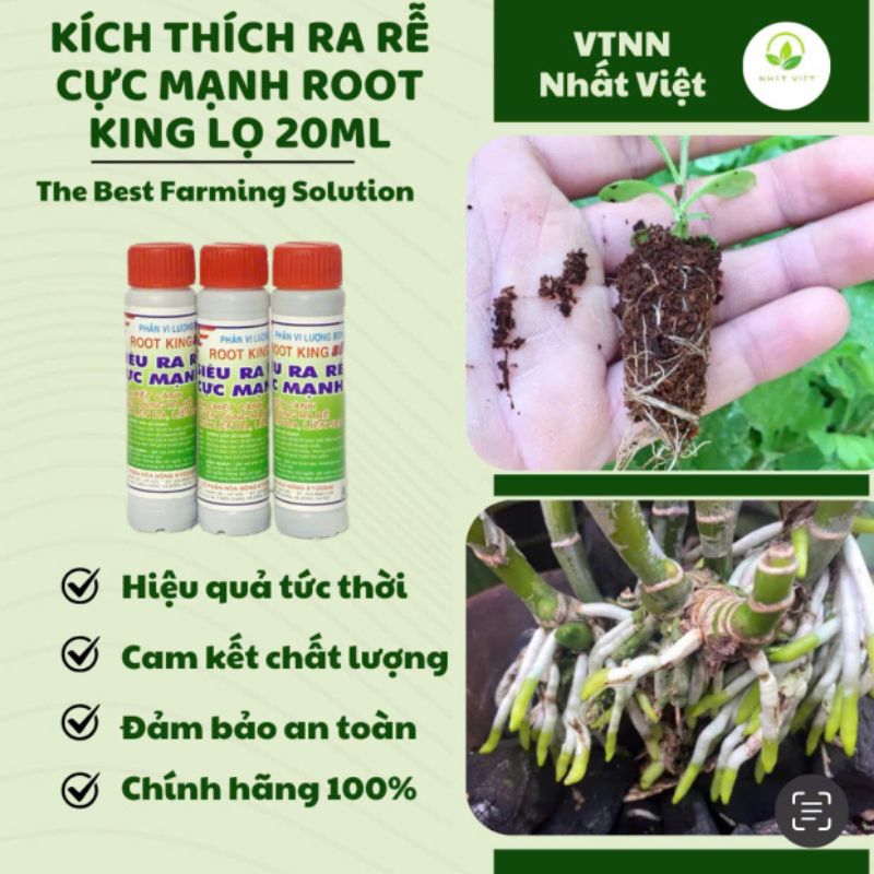 Combo 30 Ống Kích Rễ Cực Mạnh ROOTKING 20ml (1 Hộp), Kích Thích Ra Rễ ...