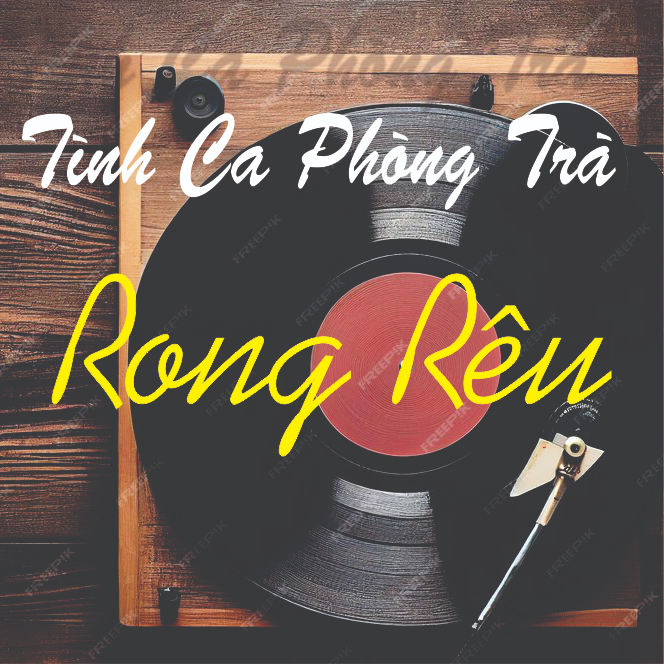 BỘ 2 ĐĨA CD 3040. ( 2 CD ) Rong Reu Tinh Ca Phong Tra Dam Chat Hoai ...