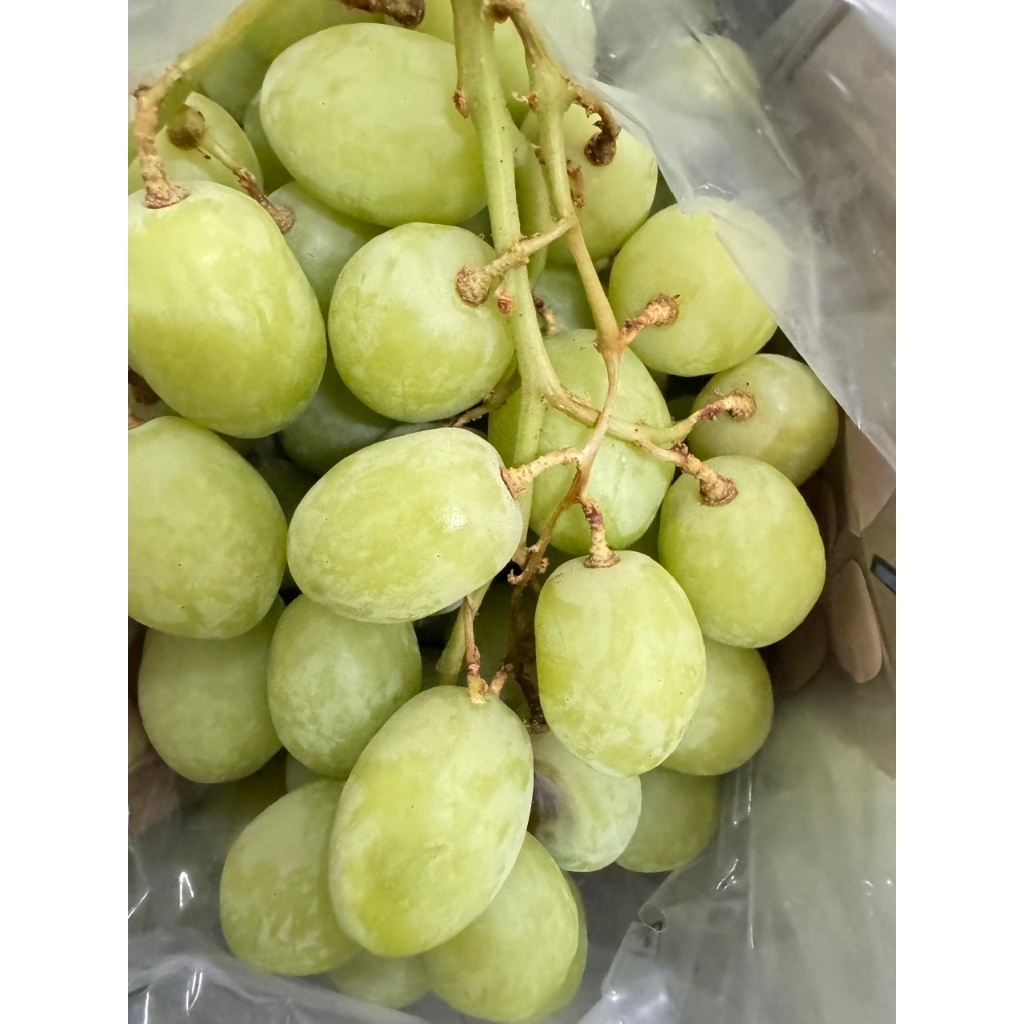 [Ship Hỏa Tốc HCM 1-2 giờ ] 1 kg nho xanh NP cứng giòn ngọt. | Shopee Việt Nam