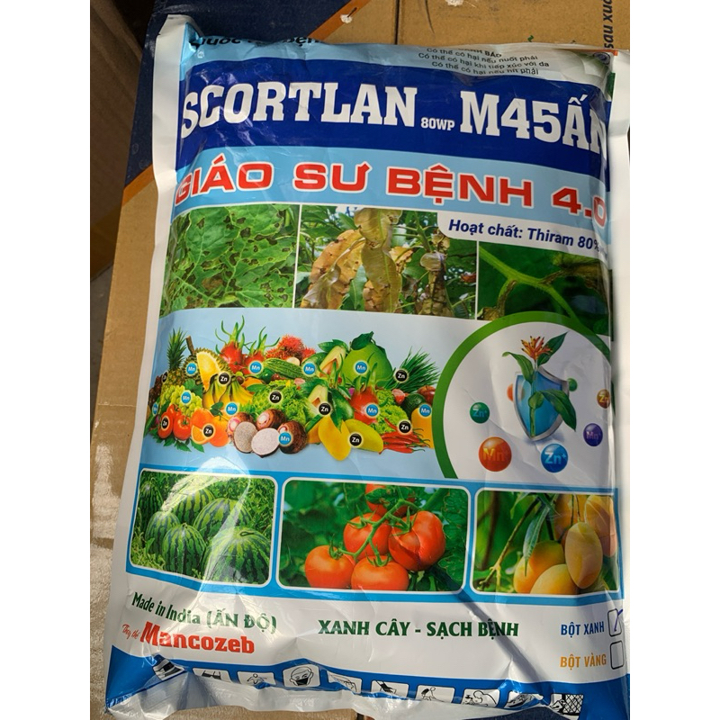 Scortlan 80WP M45 Ấn Giáo Sư Bệnh 4.0 Xanh 1kg Thiram 80%: Phổ rộng ...