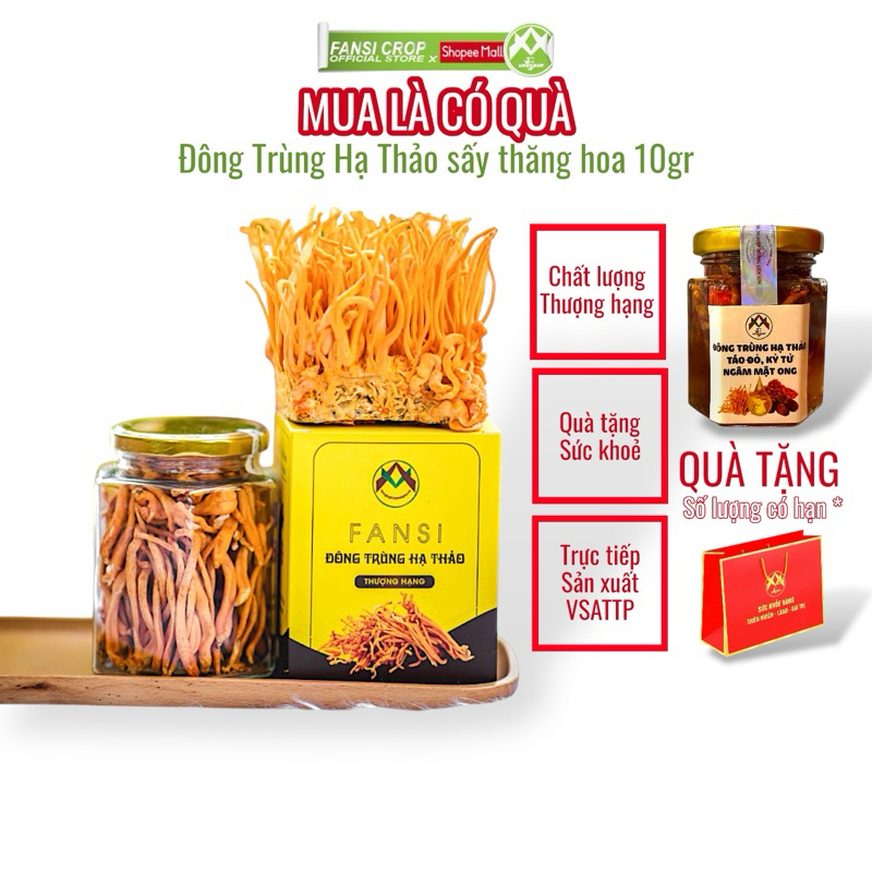 Đông Trùng Hạ Thảo Fansi Thượng Hạng - 10gr | Shopee Việt Nam