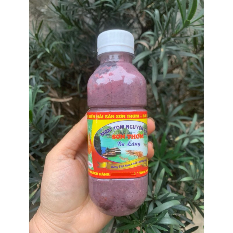 Đặc sản mắm tôm Ba Làng Thanh Hoá chai 500g | Shopee Việt Nam