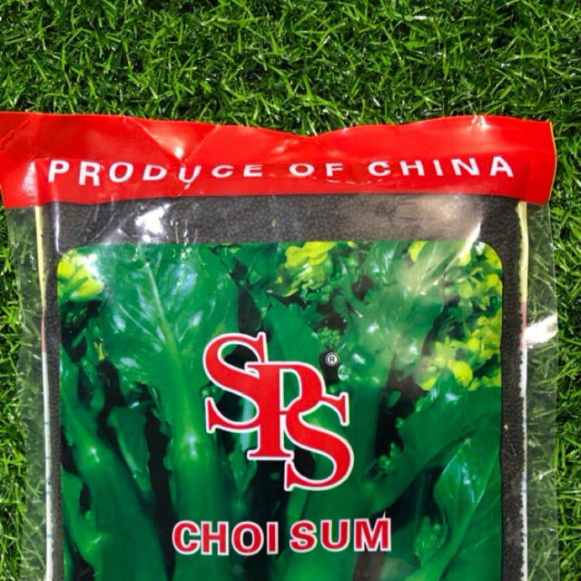 HẠT GIỐNG CẢI NGỒNG ĐẶC BIỆT SPS CHOI SUM | Shopee Việt Nam