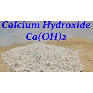 Calcium hydroxide Ca(OH)2 500g | Shopee Việt Nam