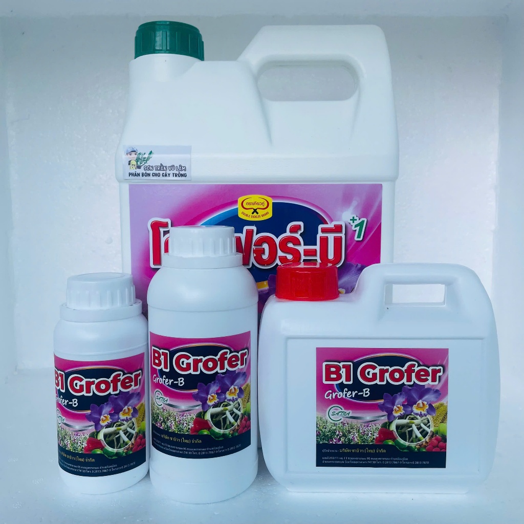 Phân Bón Lá B1 Grofer Thái Lan Dưỡng Rễ Dưỡng Mầm - Chai Chiết Lẻ ...