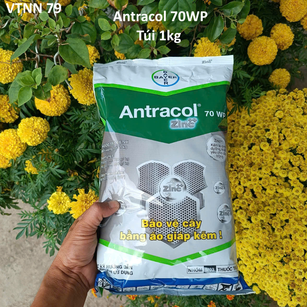 ANTRACOL 72WP TÚI 1KG. CÔNG TY BAYER | Shopee Việt Nam