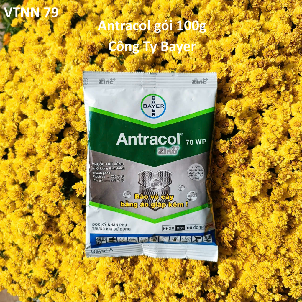 ANTRACOL GÓI 100G. CÔNG TY BAYER | Shopee Việt Nam