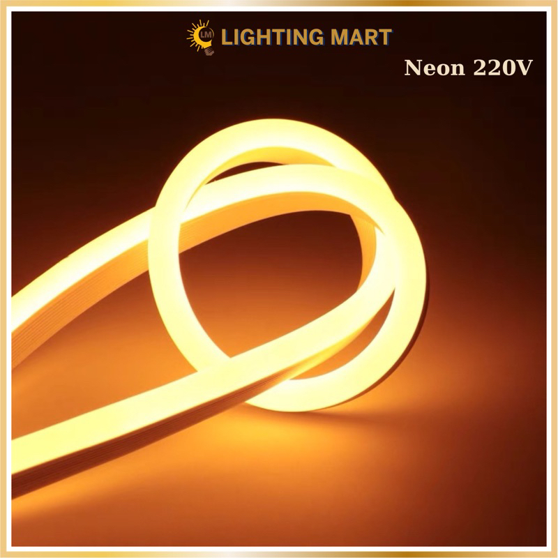 Combo 3M 5M 10M Dây Led Neon 220V (gồm nguồn), dây led chống nước trang ...
