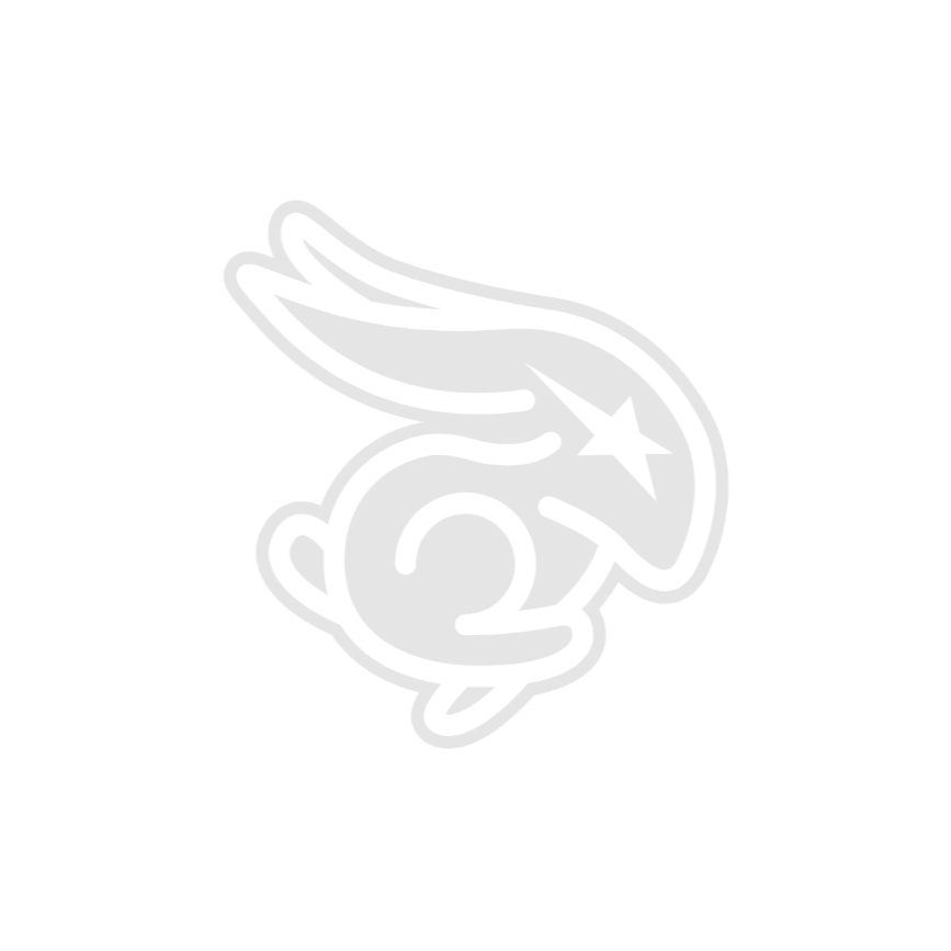 Nhãn dán 56 Team Speed Bunny Banner Sticker | Shopee Việt Nam