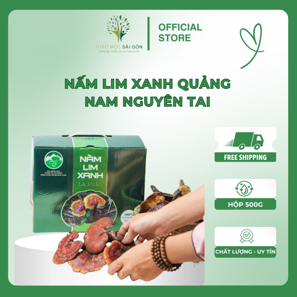 Nấm Lim Xanh RỪNG Quảng Nam {LiNaSa} Tự Nhiên (Nguyên tai) - Giải pháp ...