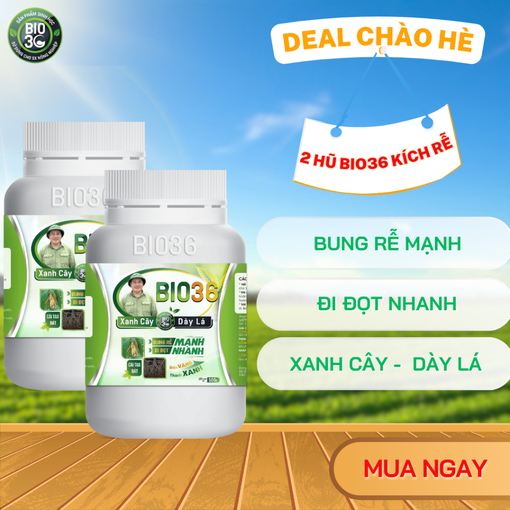 Combo 2 Hũ Bio36 Siêu Kích Rễ, Phân Bón Bio36 Bung Rễ Mạnh Đi Đọt Nhanh ...