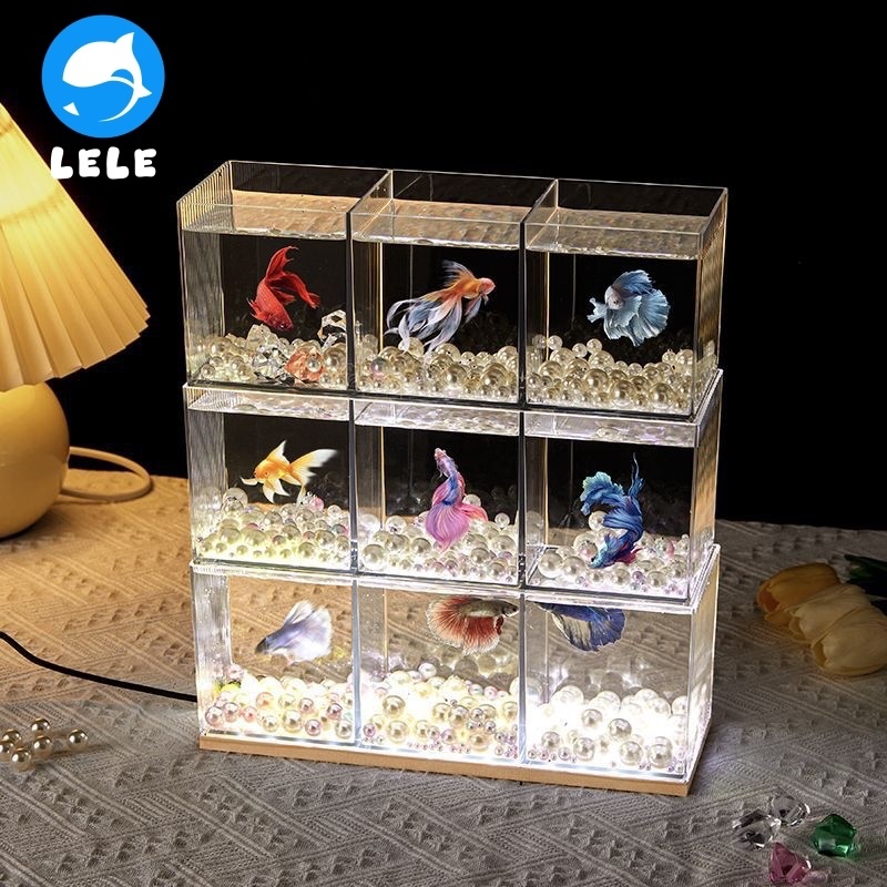 LELE Bể cá betta mini nhiều ngăn – Thiết kế trong suốt, hiện đại, decor ...