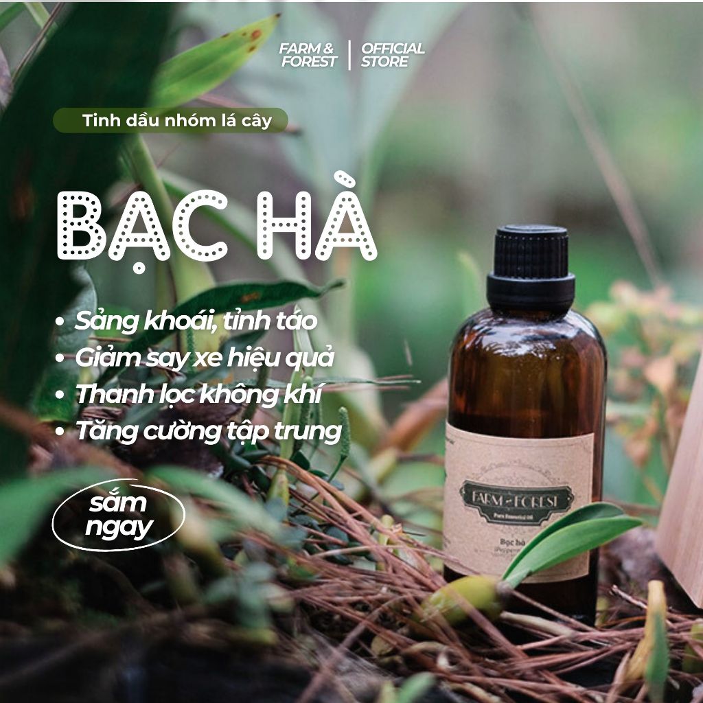 Tinh Dầu Bạc Hà Nguyên Chất | Tinh Dầu Thiên Nhiên Farm & Forest ...