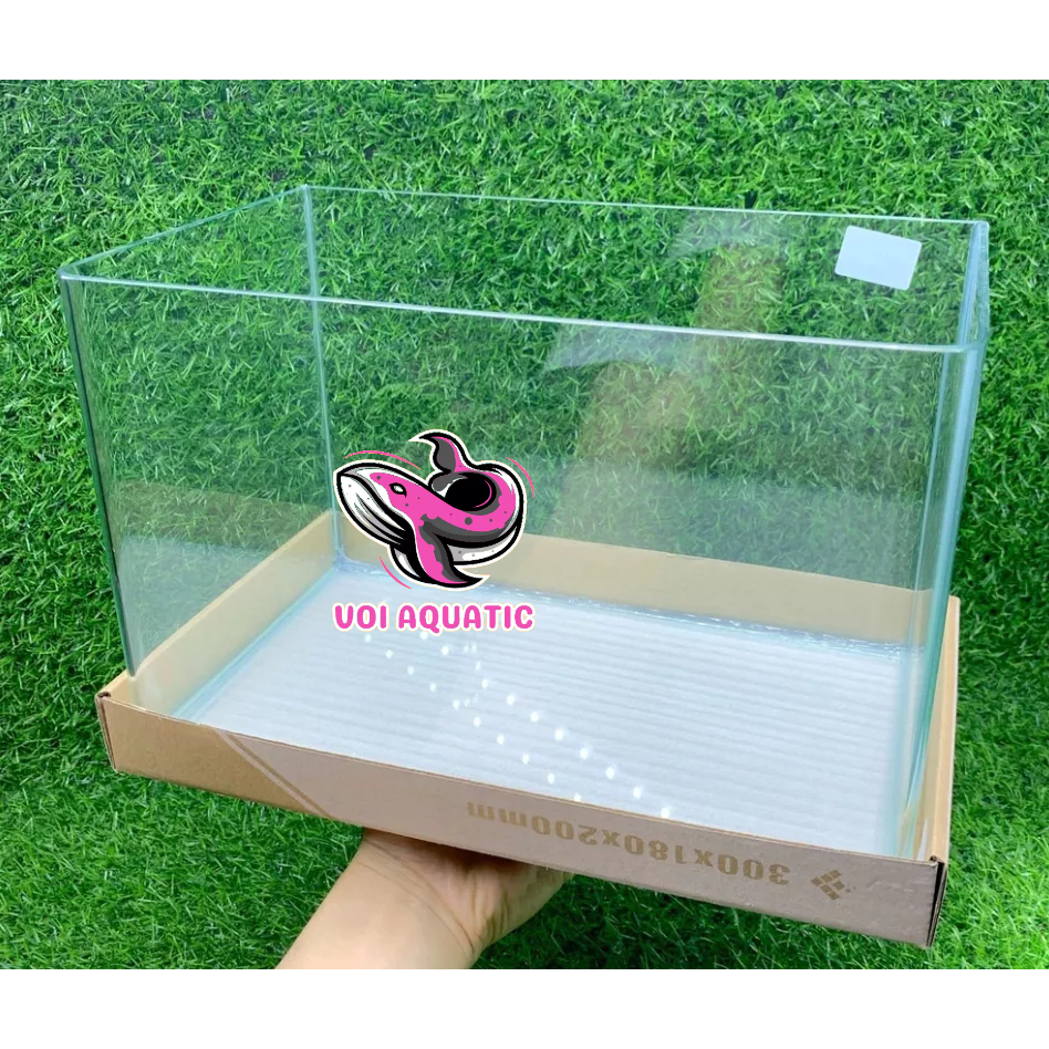[SHIP TOÀN QUỐC] Bể kính đúc [Size: 35-40cm] Bể cá mini | Hồ cá thủy ...