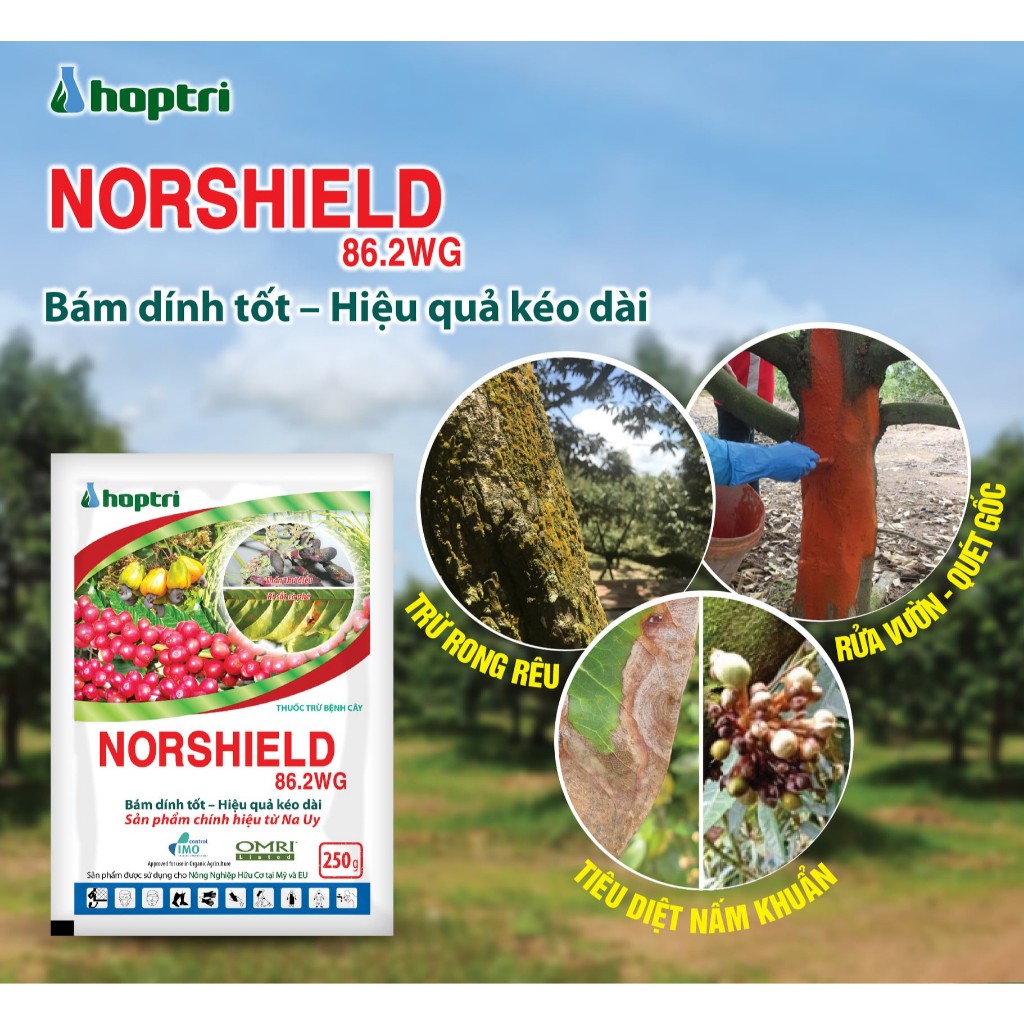 (Hợp Trí) NORSHIELD 86.2WG (50G) THUỐC TRỪ BỆNH GỐC ĐỒNG CHE PHỦ BÁM ...
