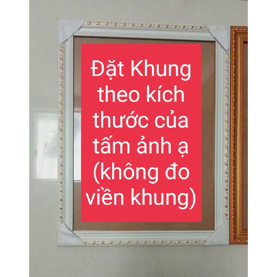 Khung ảnh 30x45 (kích thước tấm ảnh 30x45 ) có 3 màu nâu ,vàng ,trắng ...