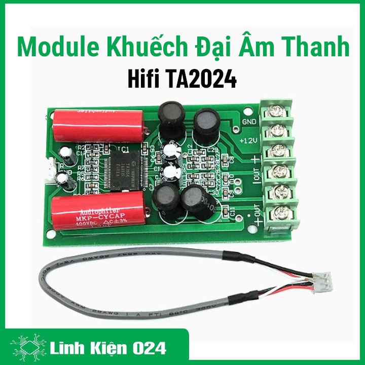 Module khuếch đại âm thanh Hifi TA2024 điện áp 12V | Shopee Việt Nam
