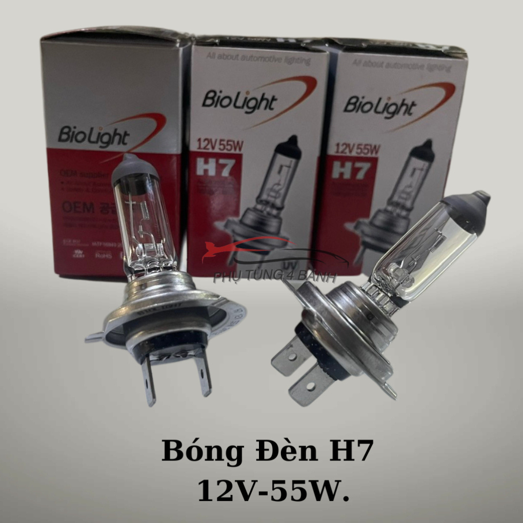 Bóng Đèn H7-12V/55W 2 chân, Bóng Đèn Pha Cốt Xe Ford Ecopost, Everest ...