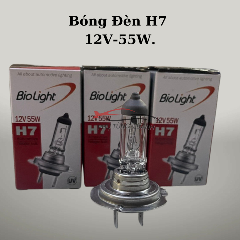 Bóng Đèn H7-12V 2 chân, Bóng Đèn Pha Cốt Xe Chevrolet Captiva, Colorado ...