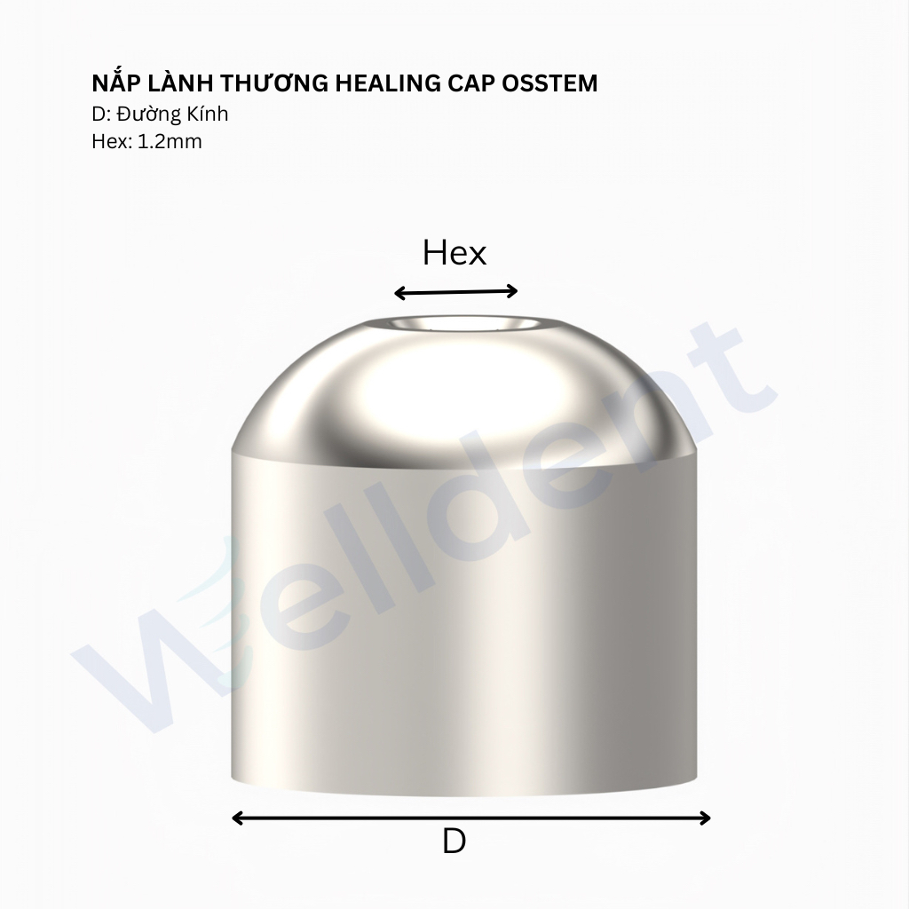 Healing Cap – Tương thích với Osstem, Biotem, Neobiotech , Hiossen ...
