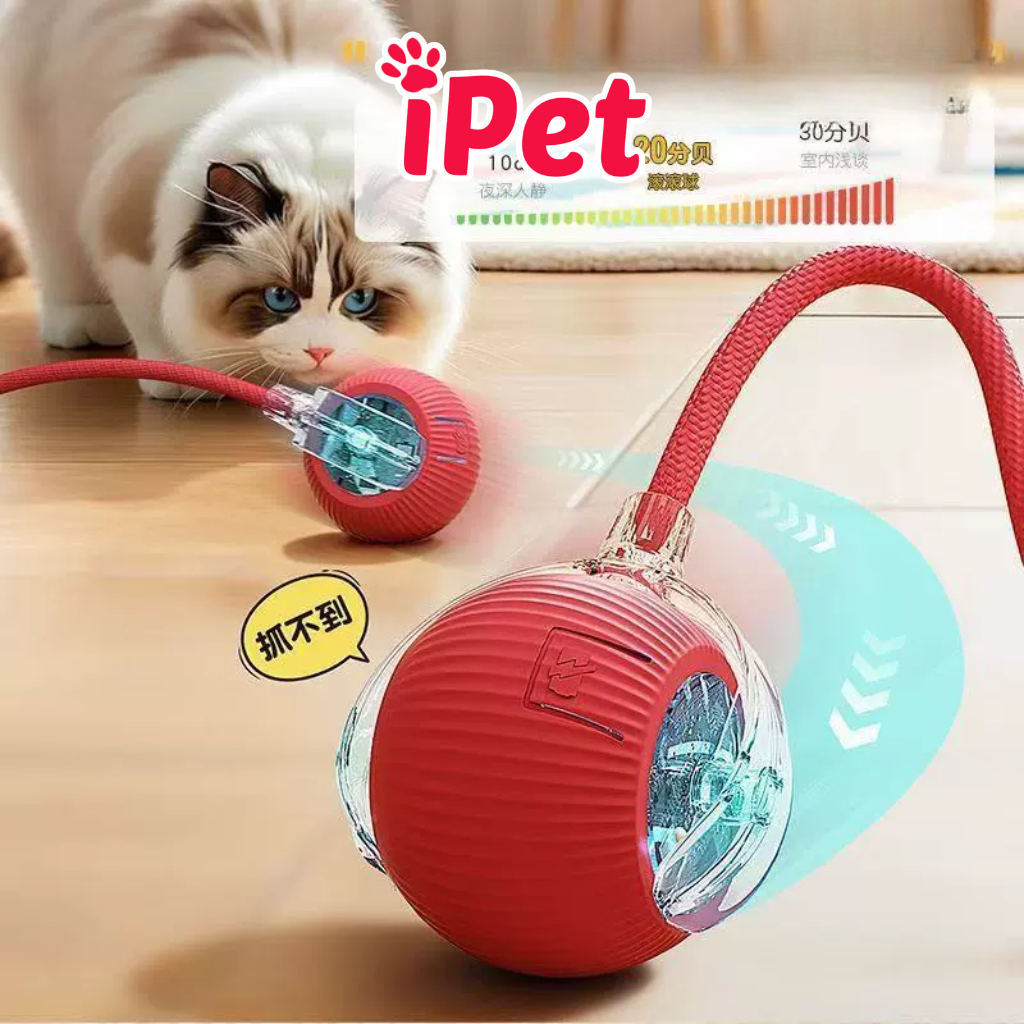 Đồ Chơi Bóng Lăn Tự Động Cho Chó Mèo, Thú Cưng Có Kèm Đuôi Dây Thừng ...