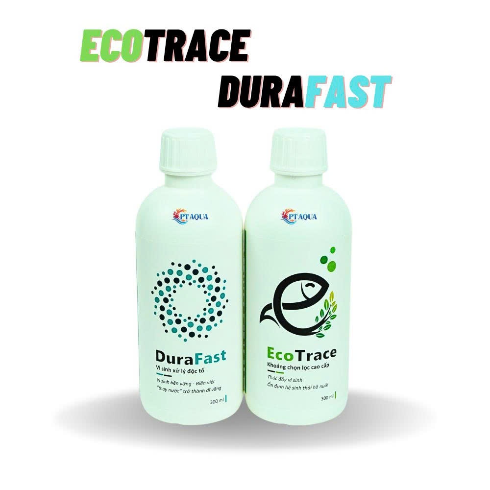 Vi Sinh Durafast - Ecotrace Dung Dịch Xử Lý Độc Tố Không Cần Thay Nước Khoáng Cao Cấp Dùng Cho ...