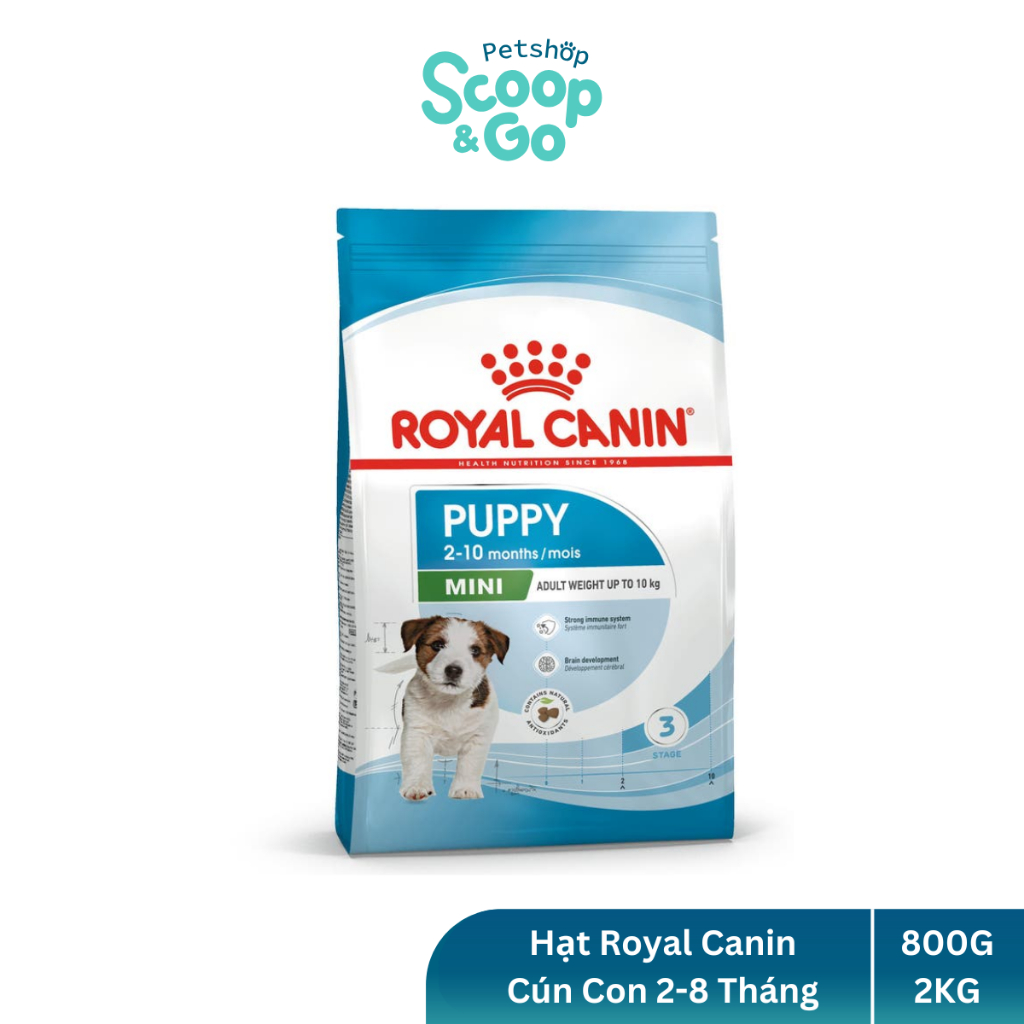 Thức Ăn Hạt Royal Canin Mini Puppy Cho Chó Con Giống Nhỏ (800G-2KG x 1 ...
