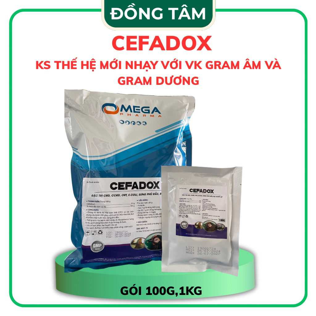 CEFADOX KS THẾ HỆ MỚI NHẠY VỚI VK GAM ÂM VÀ GAM DƯƠNG | Shopee Việt Nam