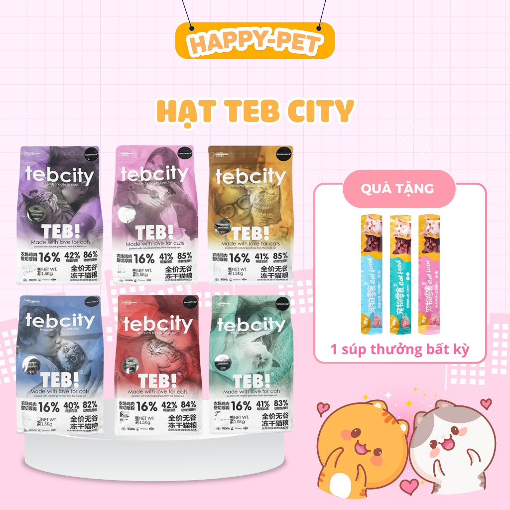 [QUÀ TẶNG SÚP] Hạt TEB City (Không Độn Ngũ Cốc) Mix Topping Thịt Sấy ...