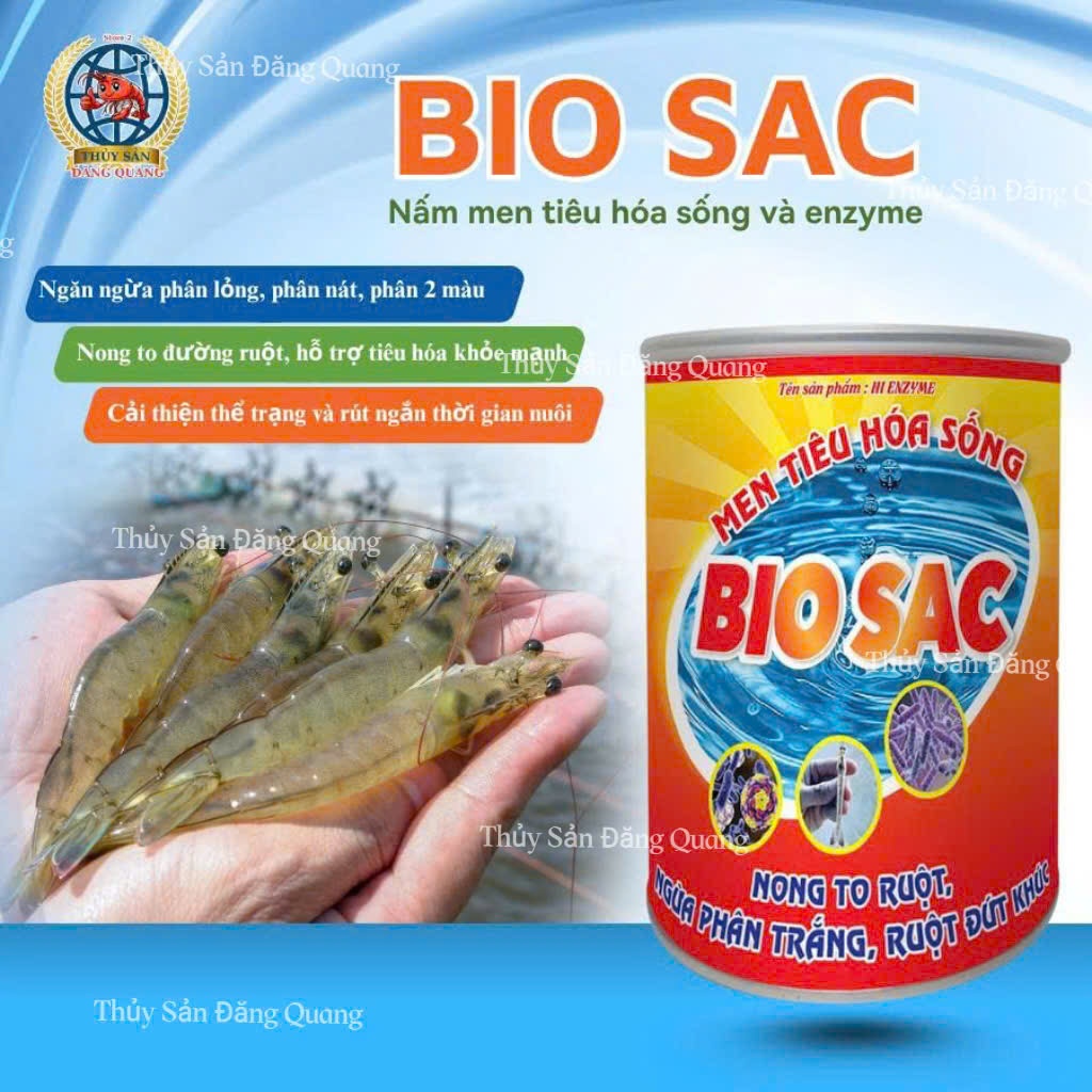 MEN ĐƯỜNG RUỘT BIOSAC - DÙNG CHO NUÔI TRỒNG THỦY SẢN | Shopee Việt Nam