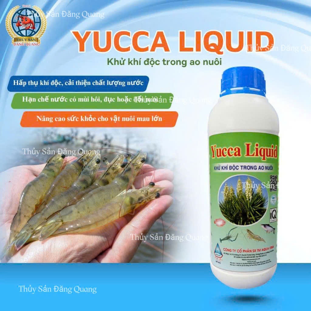 YUCCA LIQUID - KHỬ KHÍ ĐỘC TRONG AO NUÔI DÙNG TRONG NUÔI TRỒNG THỦY SẢN ...