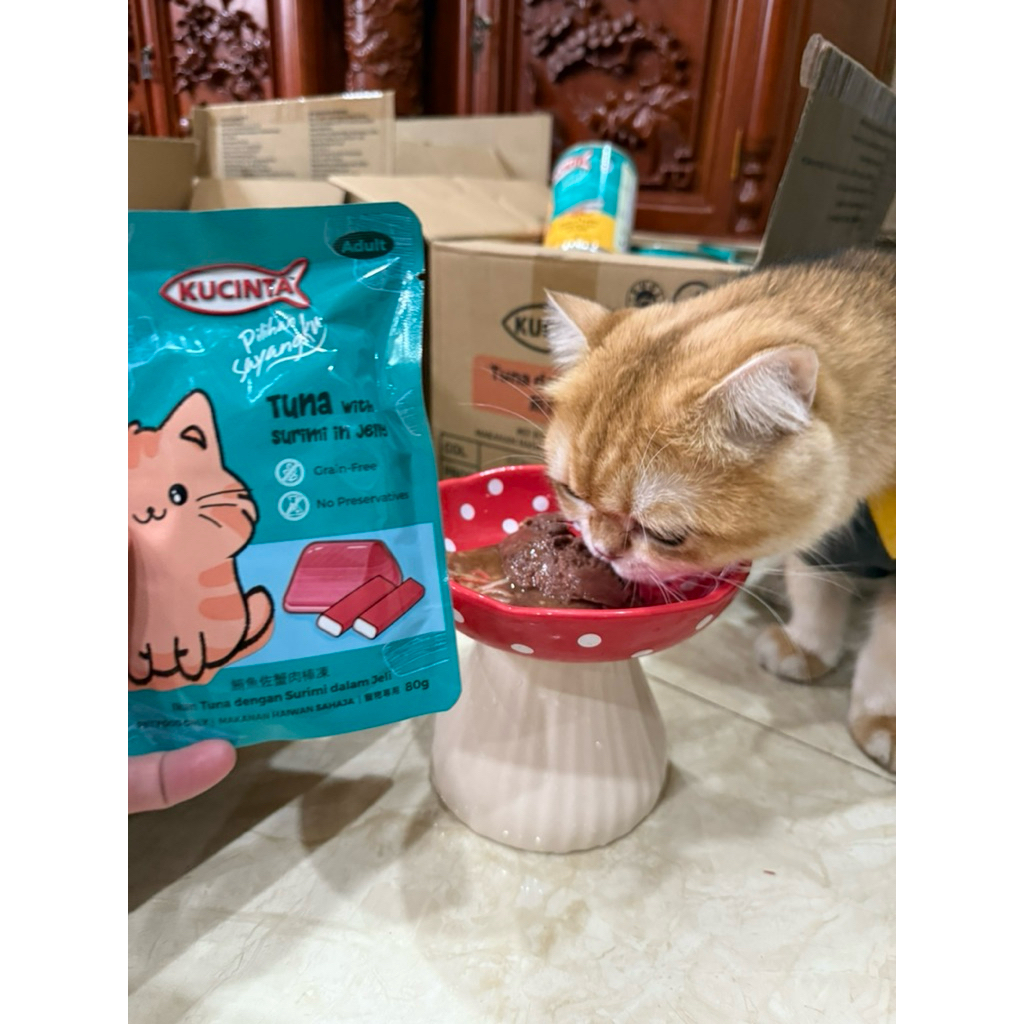 Combo pate giá rẻ ưu đãi dùng thử cho mèo, Kucinta gói 80g | Shopee ...
