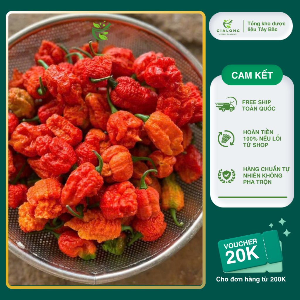 Quả Giống Ớt Cay Nhất Thế Giới Carolina Reaper ( Chín Tươi ) | Shopee ...