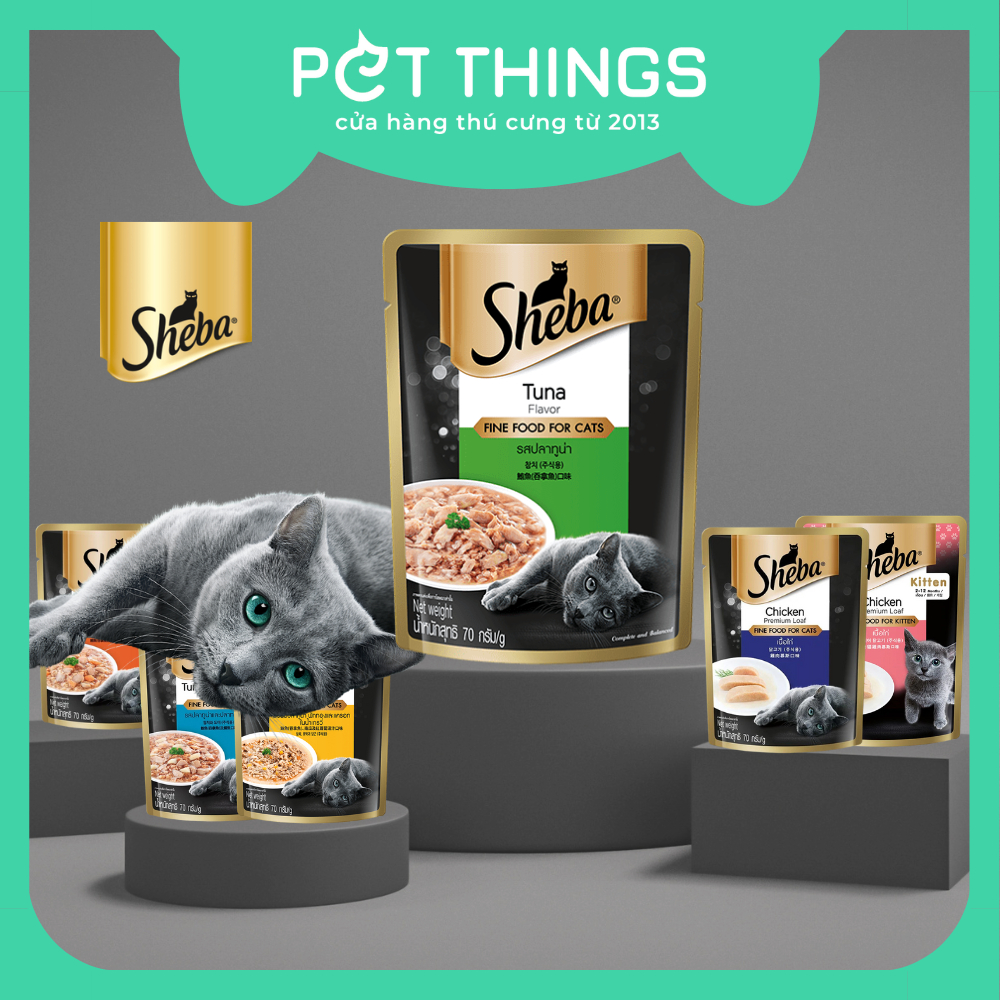 Sheba gói cho mèo 70g Pate thịt nấu kèm nước sốt cho mèo con, mèo ...