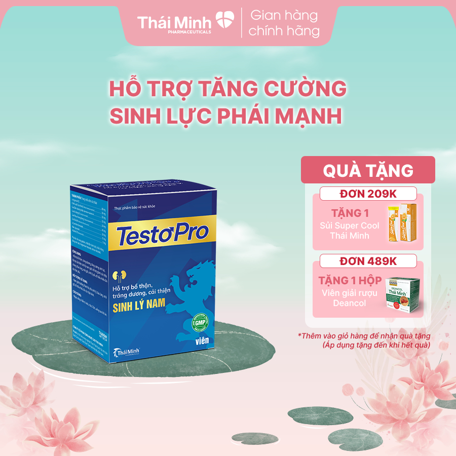 Viên Uống TestoPro Thái Minh - Hỗ Trợ Bổ Thận - Tăng Cường Sinh Lý Nam ...