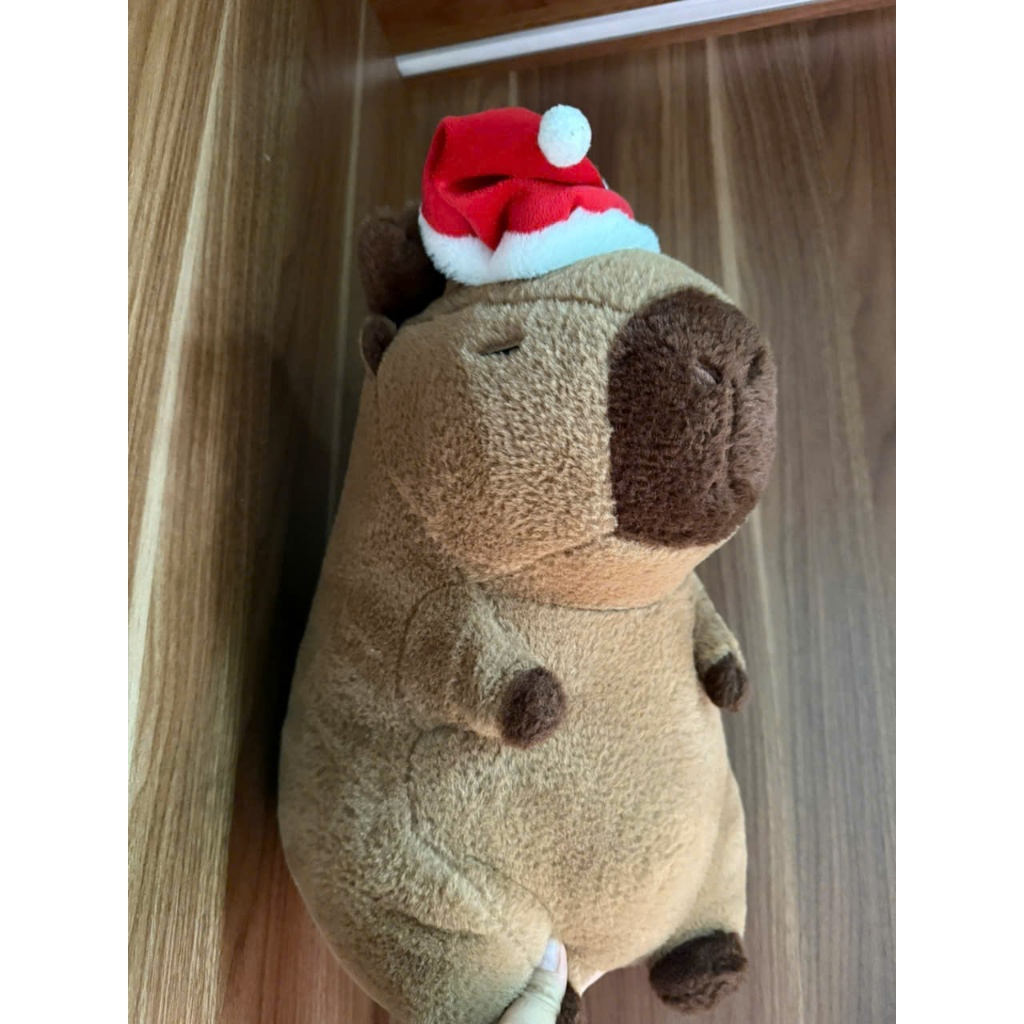 Gấu Bông Capybara | Shopee Việt Nam