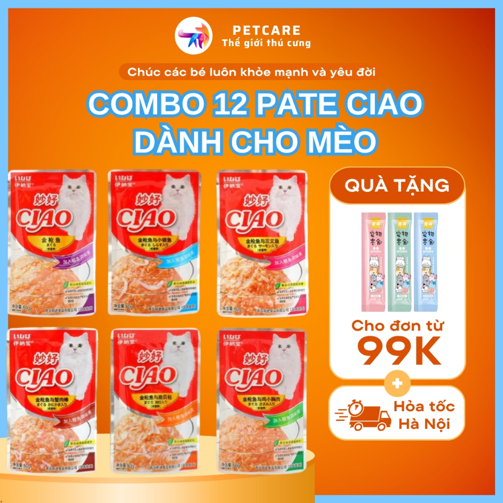 COMBO 12 Gói Pate Ciao Dành Cho Mèo [Gói 60G], Pate Ngon Dinh Dưỡng Dành Cho Bé - PetCare ...