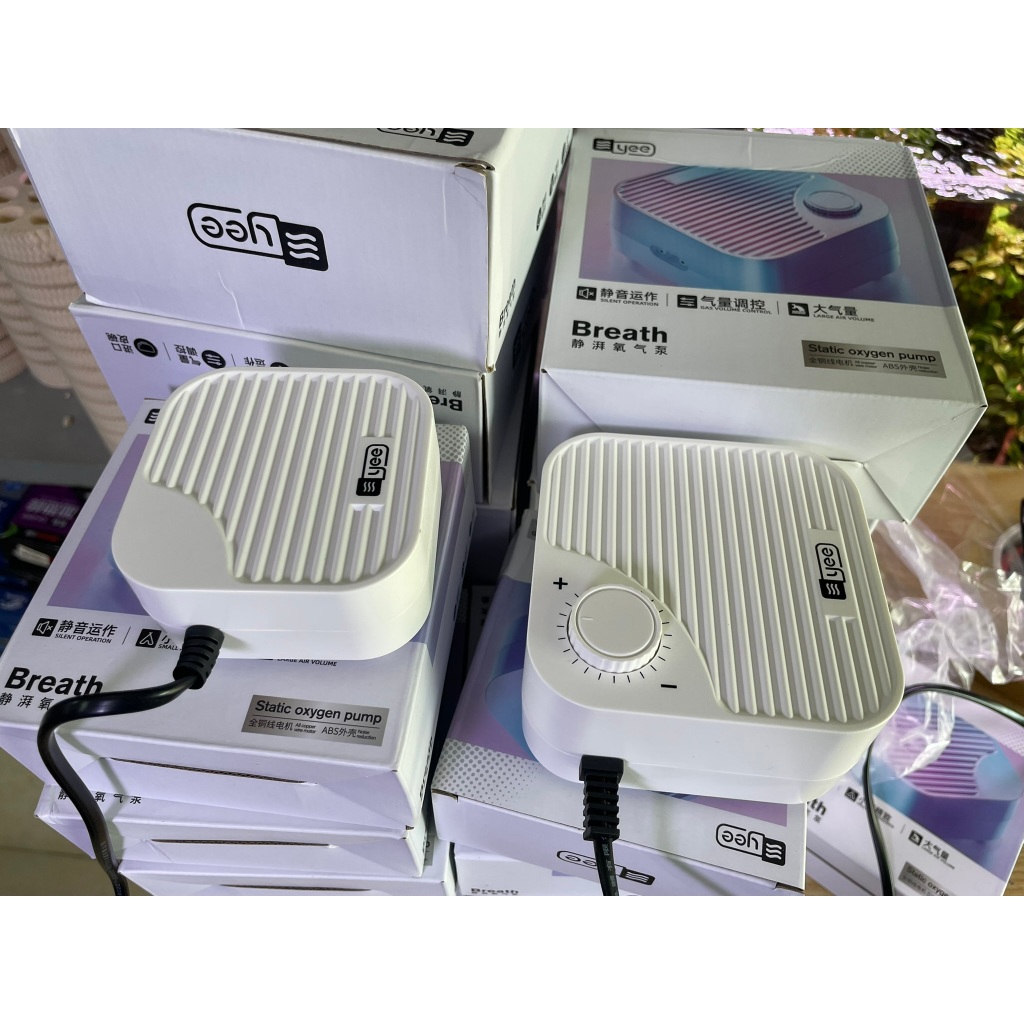 Máy Sủi Oxy Cho Bể Cá Cảnh Yee – Giải Pháp Tối Ưu Cho Hệ Sinh Thái Thủy ...