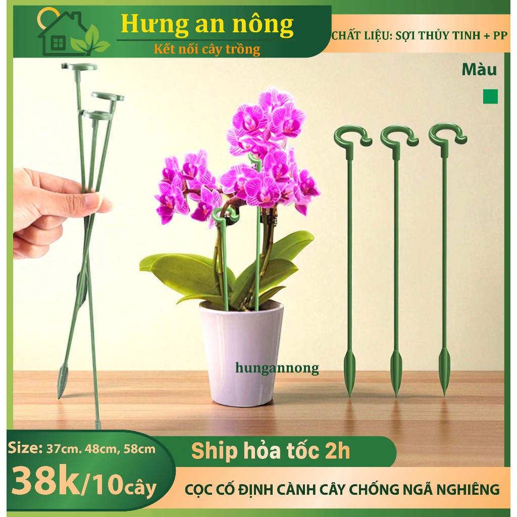 Bộ 10 thanh nhựa giữ cây đứng vững – chống ngã, dùng cho lan và cây ...