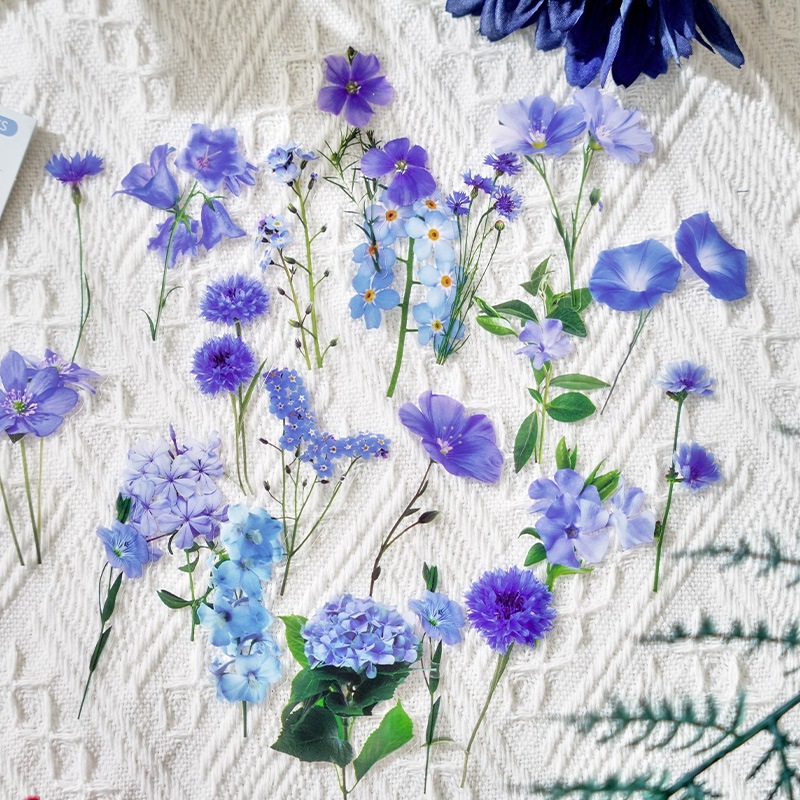 Set 40 tấm sticker trong suốt HOA LÁ CỎ KHÔ DƯƠNG SỈ LƯU LY HƯỚNG DƯƠNG ...