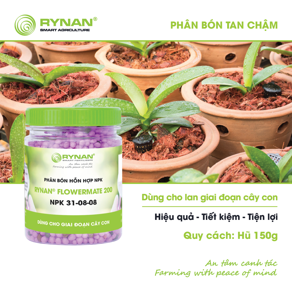 Phân Bón Tan Chậm Cho Lan RYNAN® FLOWERMATE 200 NPK 31-08-08 - Sử Dụng ...