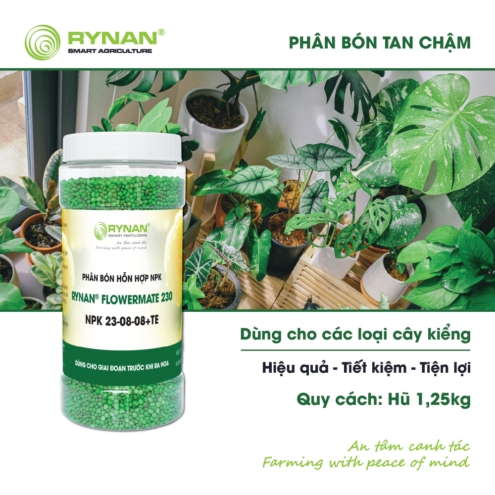 Phân Bón Tan Chậm Cho Kiểng Lá RYNAN® FLOWERMATE 230 NPK 23-08-08+TE ...