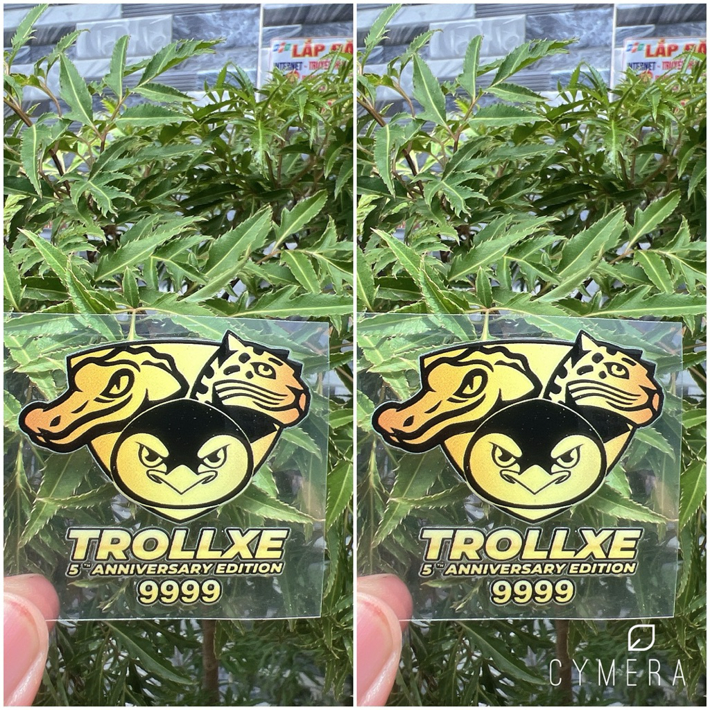Tem in nhiệt uv & Trollxe 9999 ,Dán Xe Ô Tô , Xe Máy , Xe Điện | Dán Đa ...
