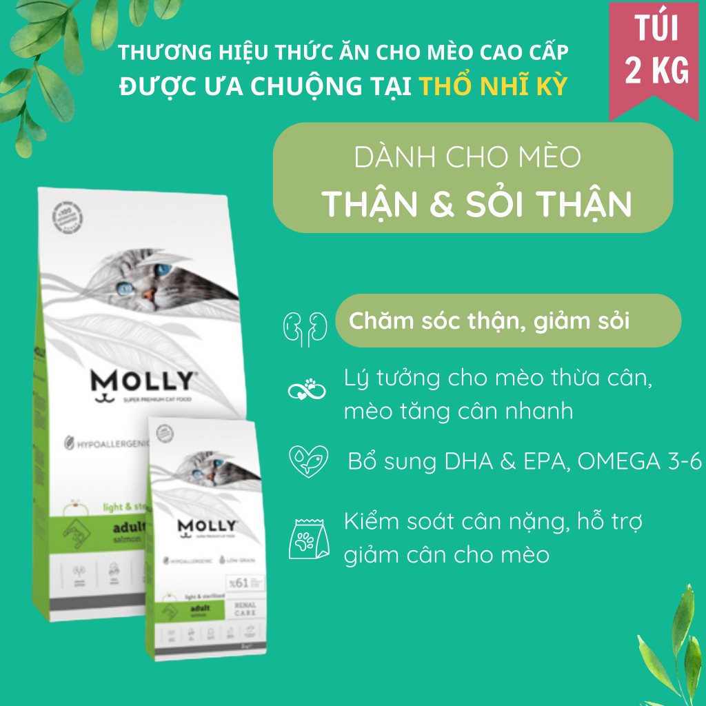 Molly Cat Adult Renal Care Light&Sterilised Salmon 2kg - Mua 10 tặng 1 ...